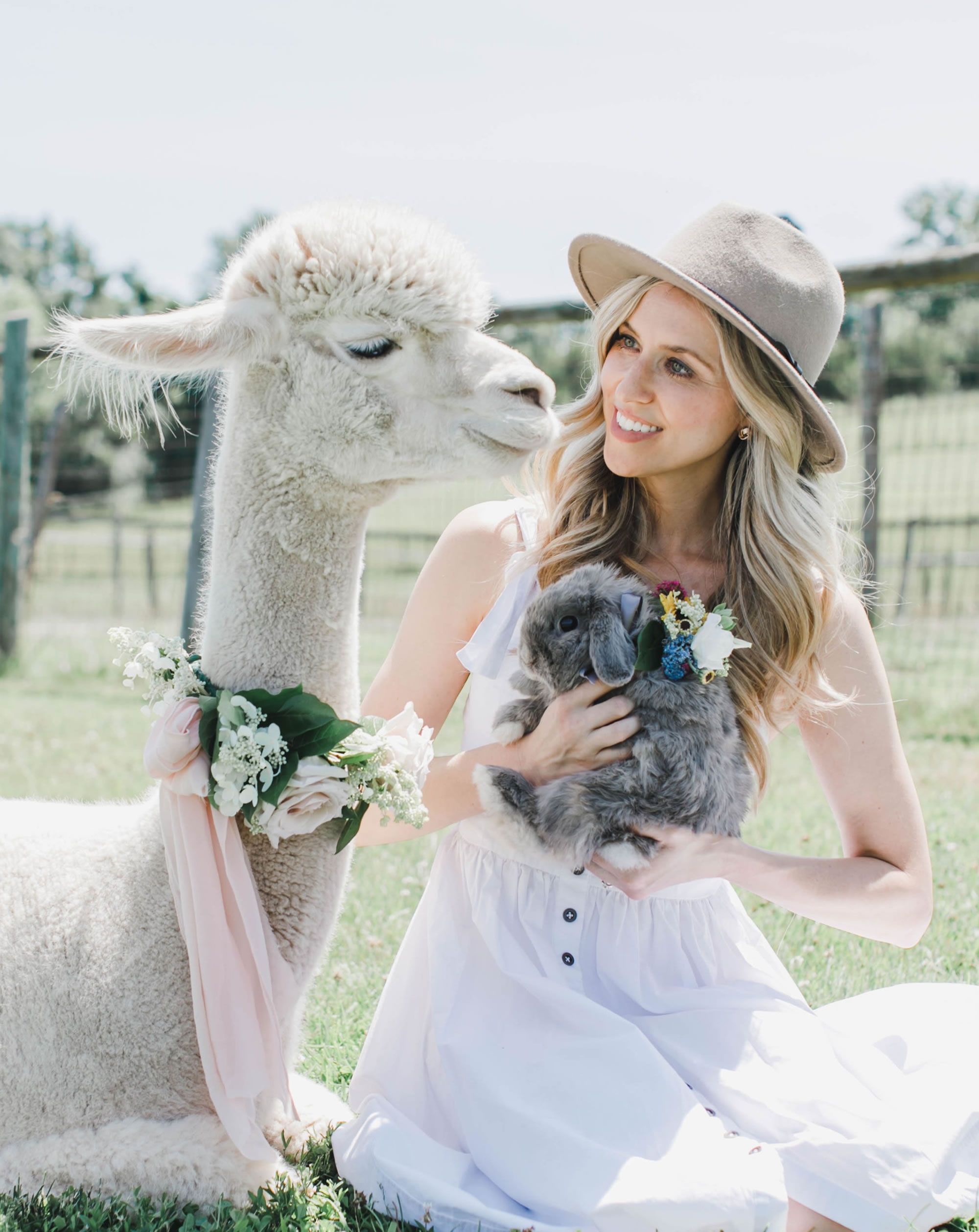 Why you should own an alpaca？ – Alpaca Joy Fun